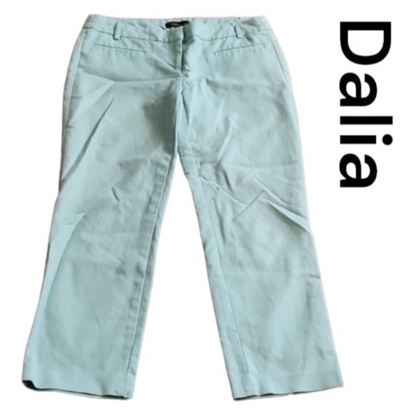 Dalia | Pants & Jumpsuits | Dalia Size 4 Seafoam Green Business Casual Khaki Pants | Poshmark